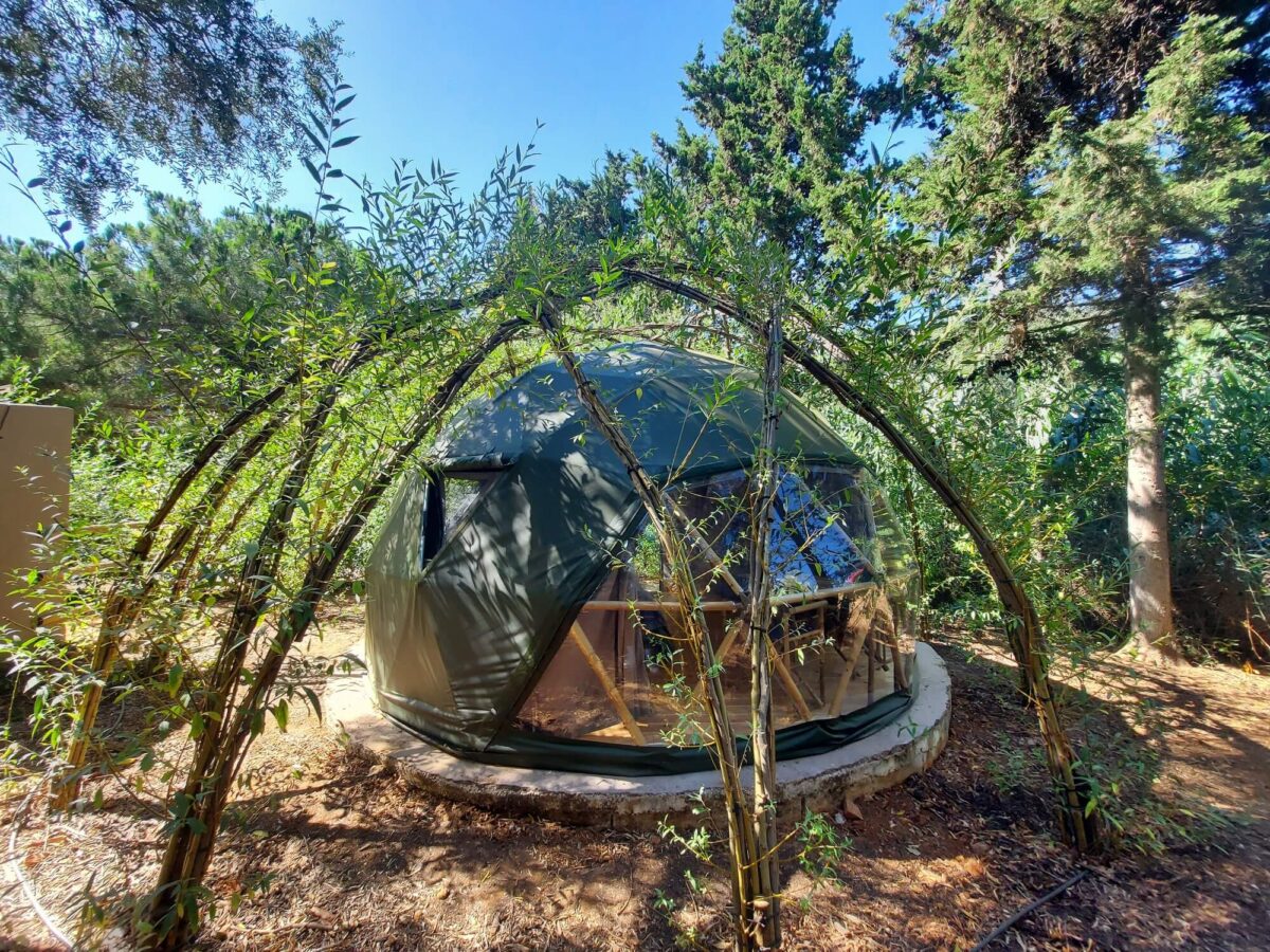 Willow Tree Dome • Salema Eco Camp