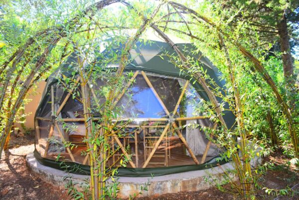 Willow Tree Dome • Salema Eco Camp