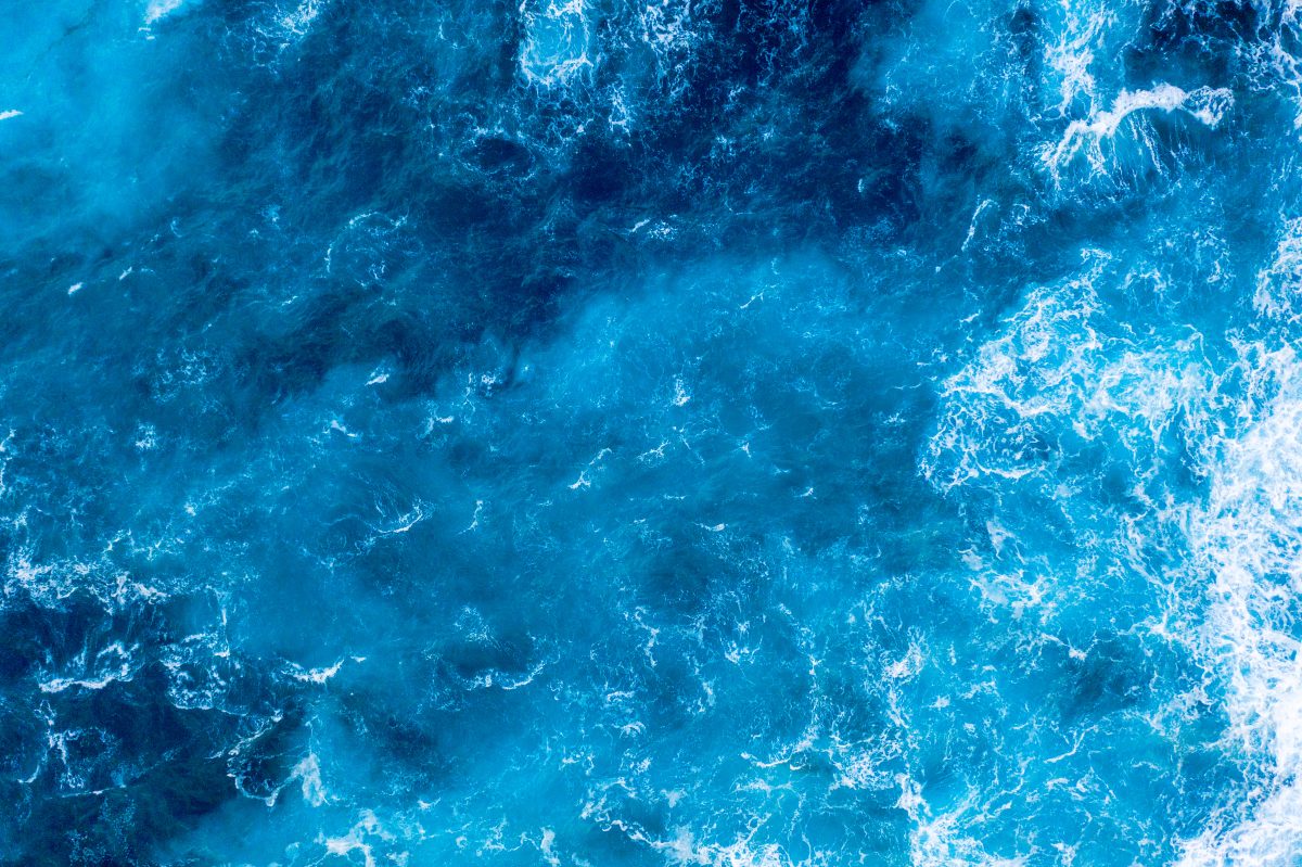 Feeling the Ocean • Salema Eco Camp